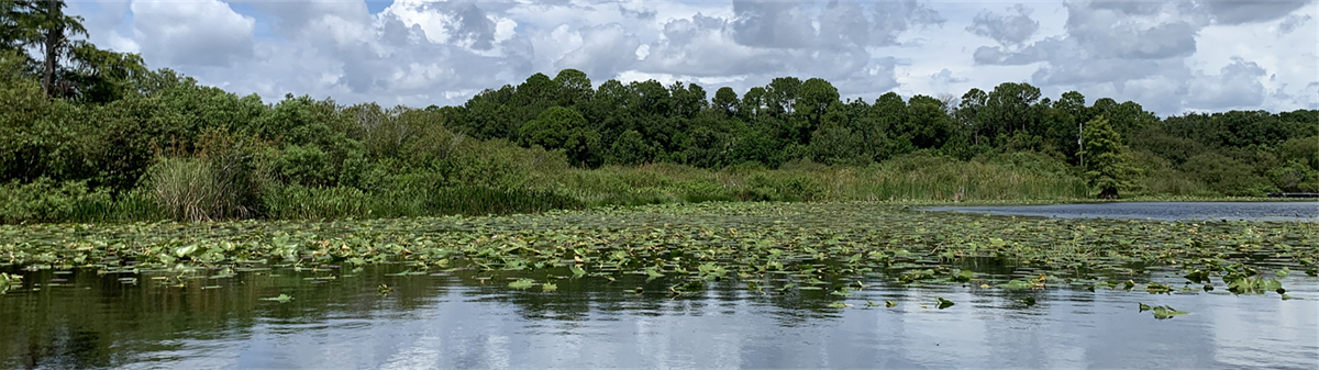 Bill Frederick Park At Turkey Lake - City of Orlando