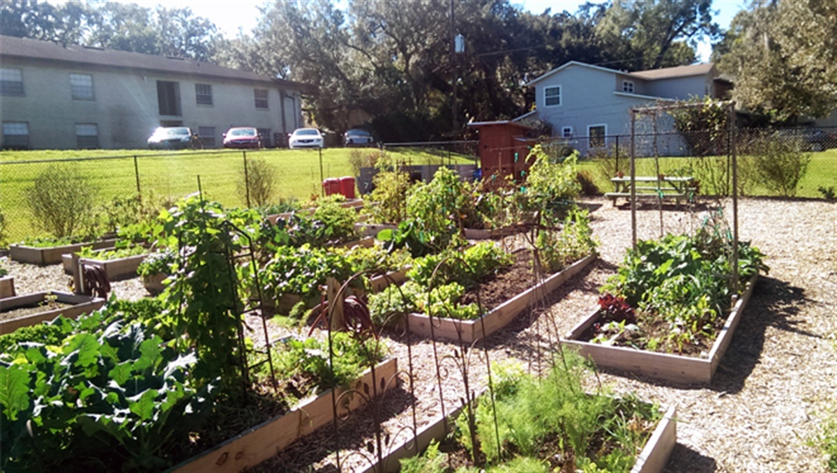 Find a Community Garden Near You - City of Orlando