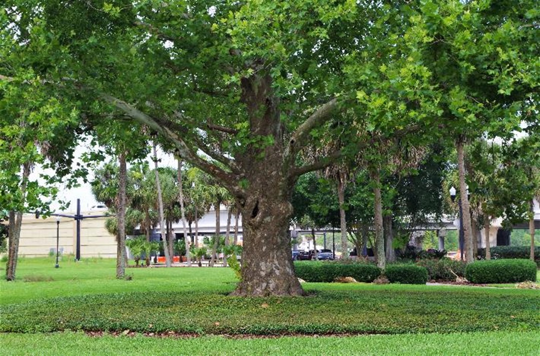 Senator Beth Johnson Park - City of Orlando