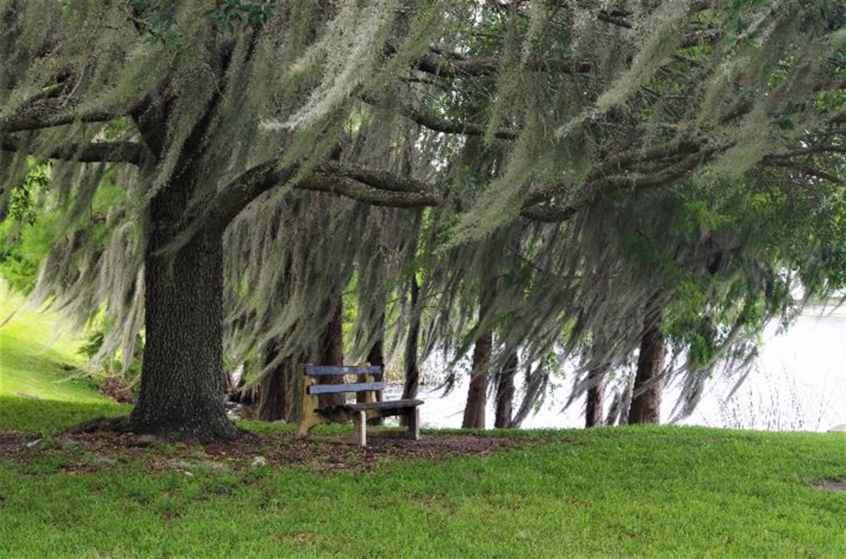 Don Dudley Park - City of Orlando